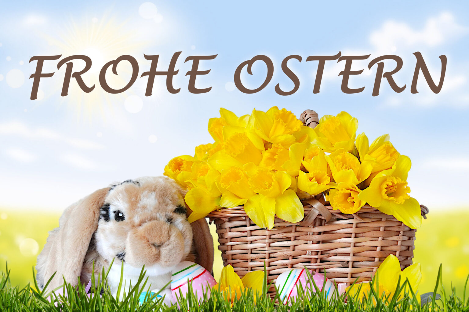 Schone Frohe Ostern Hase Bilder Ebenbild
