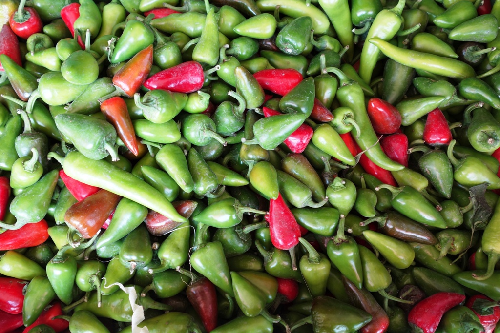 Rote und grüne Pfefferoni Bilder | | Piqza.de